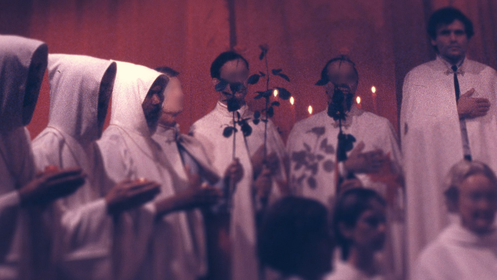 Die Bruderschaft – Die Geheimnisse der Sonnentempler - Staffel 1 ...